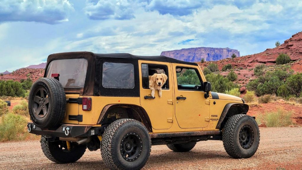 Jeep Recall Lookup: Check for Open Recalls Using Your VIN