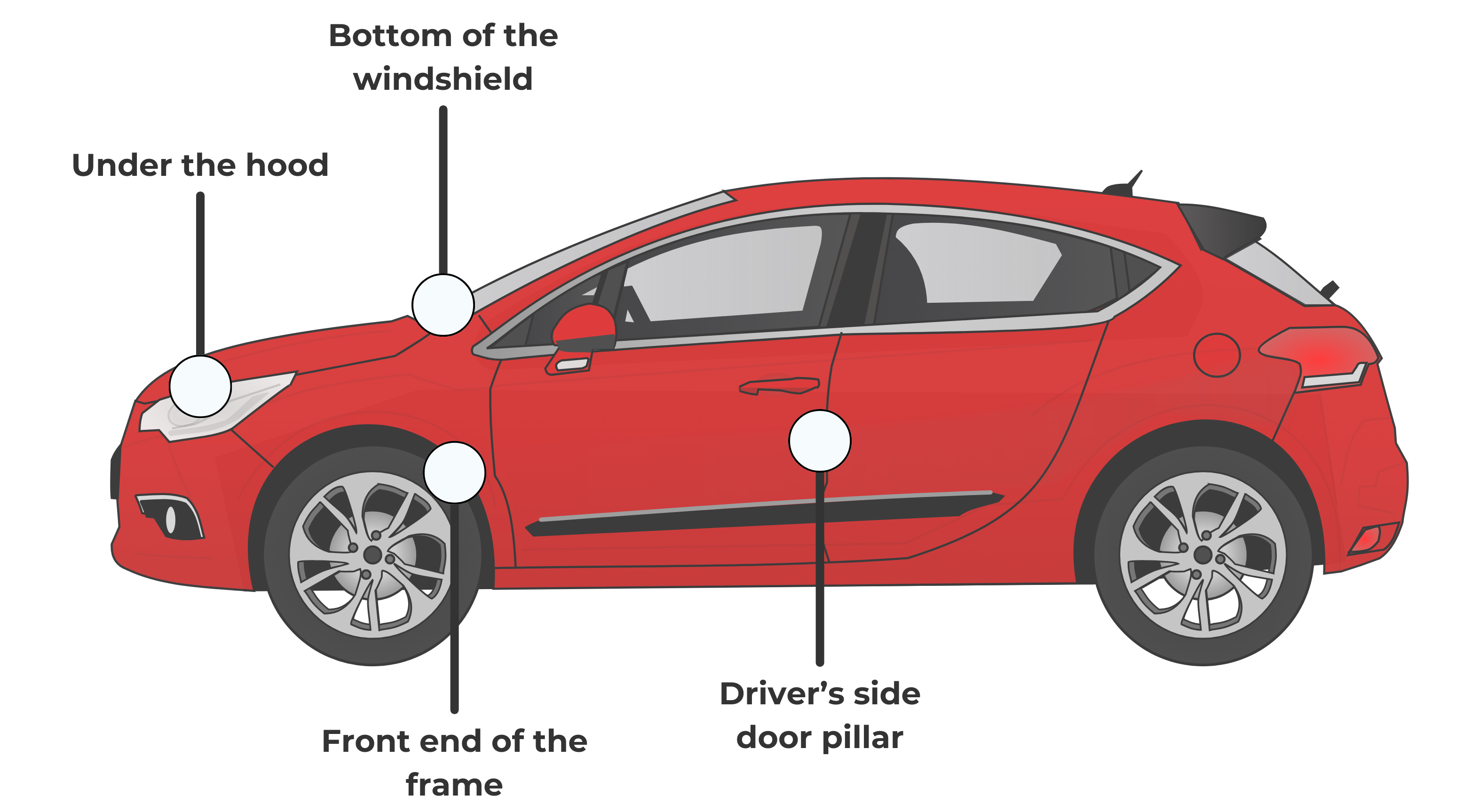 How to Read a VIN Number: Guide to VIN Decoding Vehicle History